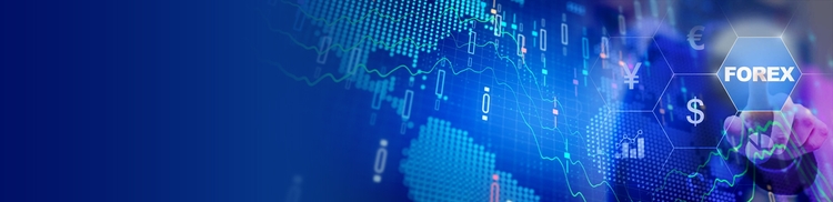 Foreign Exchange Software | MercuryFx | foreign exchange transaction ...